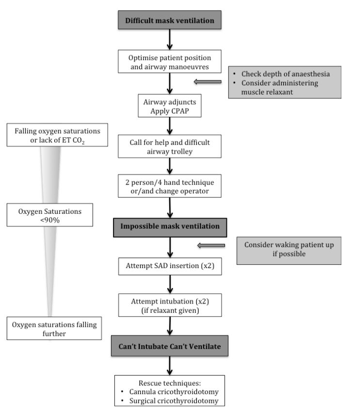 Airway Assessment | OpenAirway